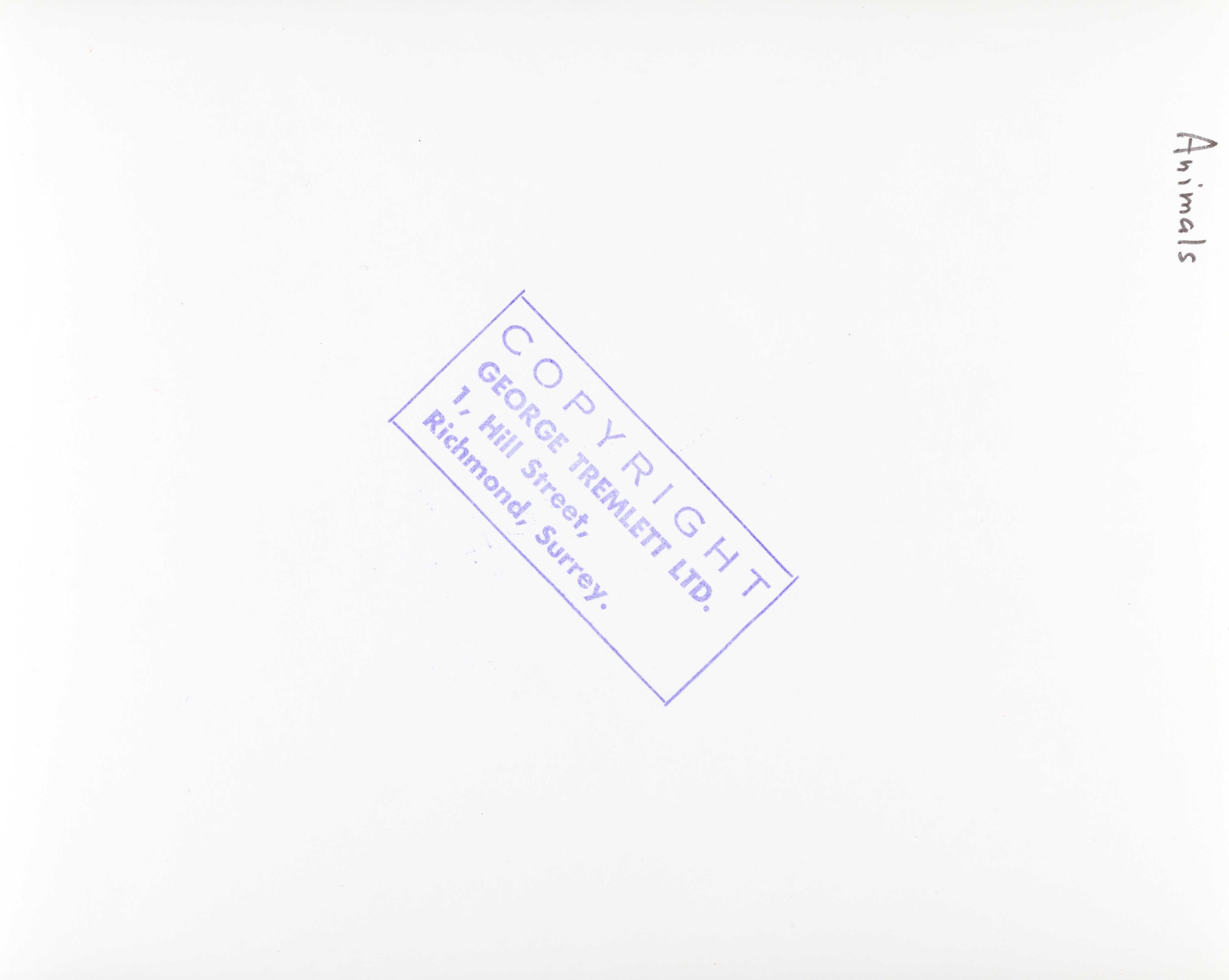 Lot 193 - GEORGE TREMLETT (1939–2021)