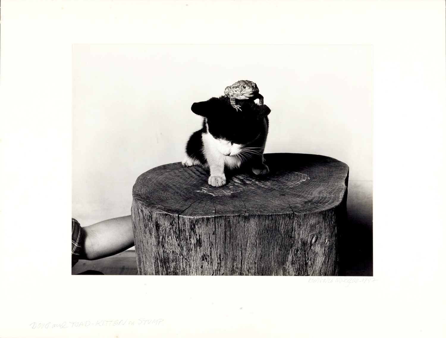 Lot 56 - BARBARA MORGAN (1900–1992)