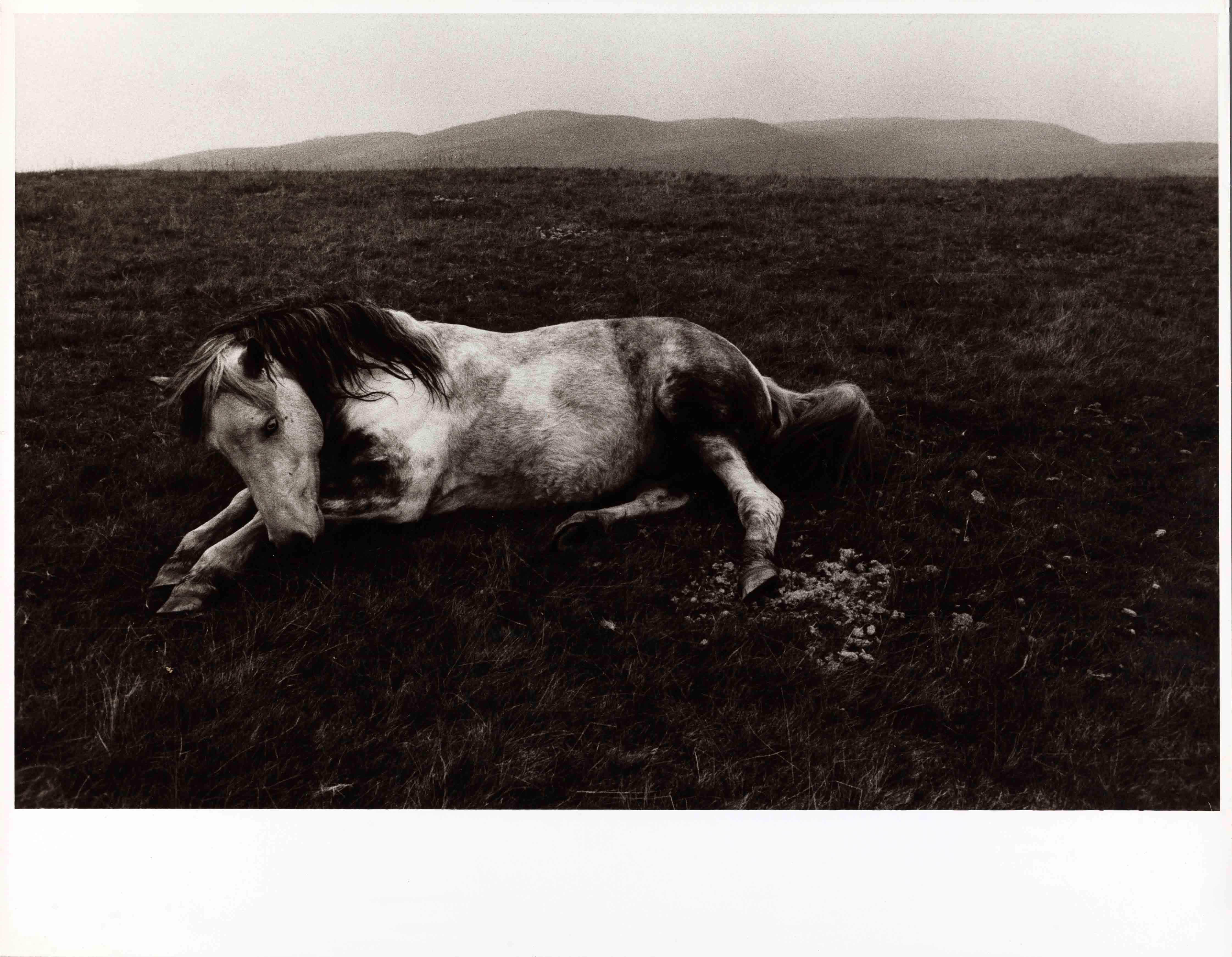 Lot 68 - BRUCE DAVIDSON (*1933)